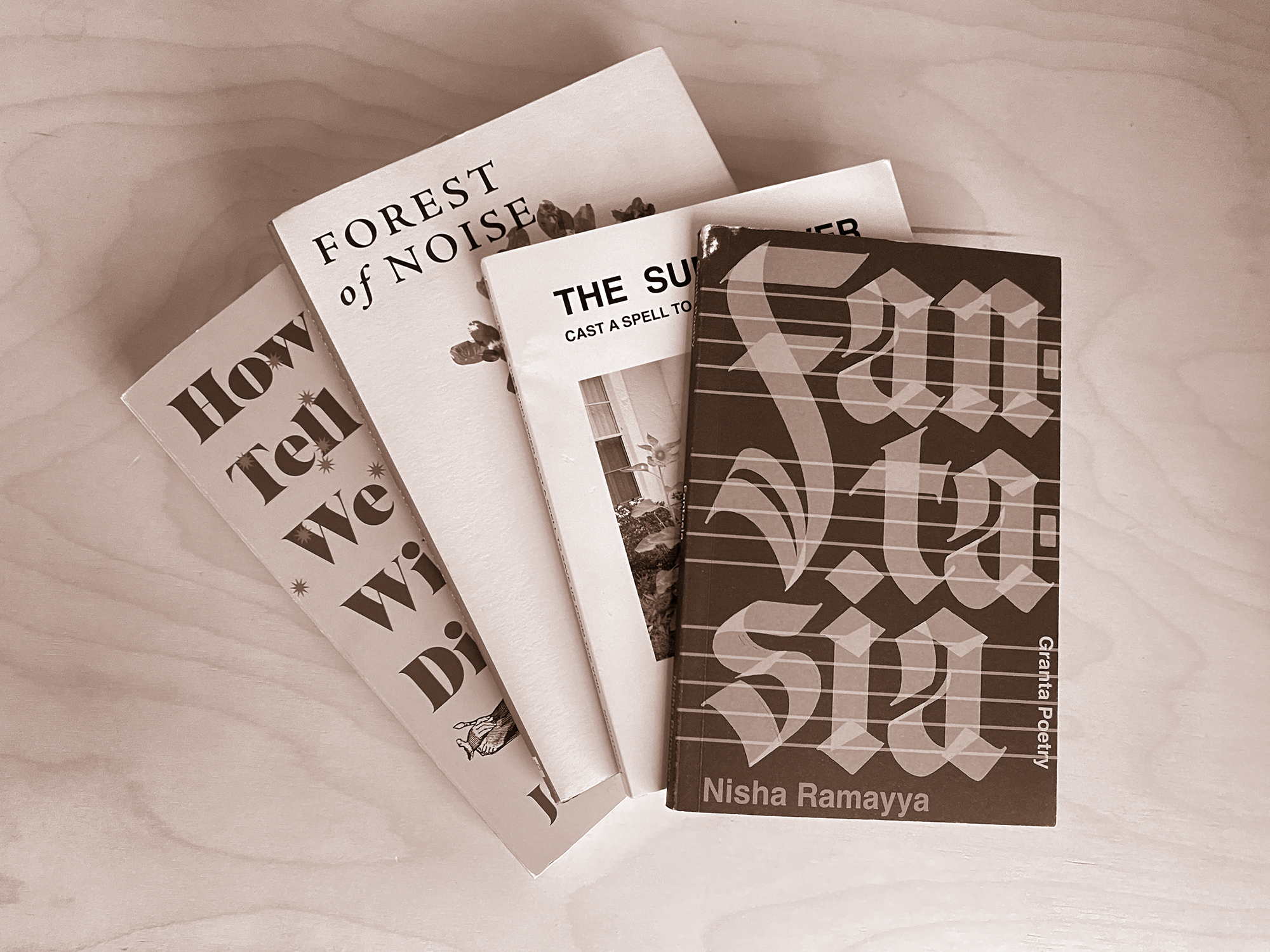 Sarah Shin, February 2025 – Cooper Gallery A space in-between