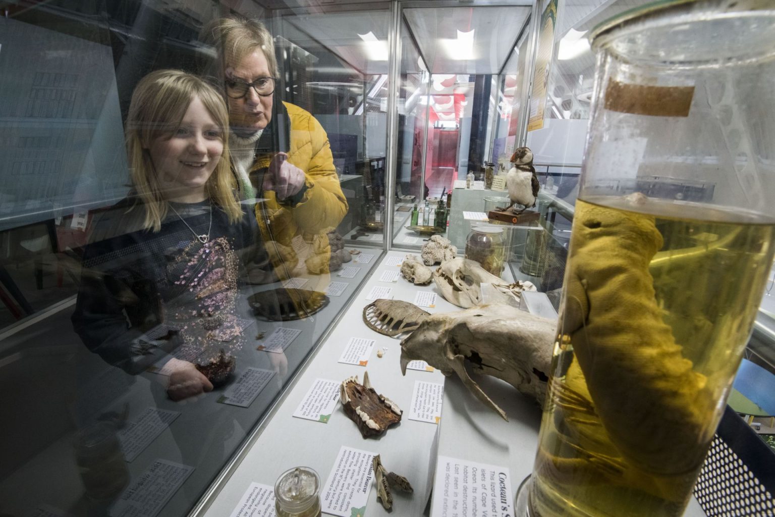 UoD Museums – Dundee Science Festival 2023 – University culture