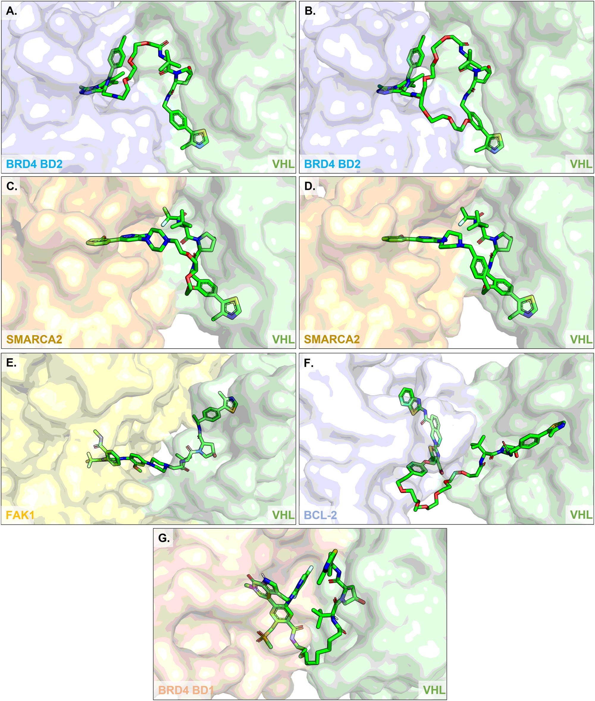 Publications – Farnaby Group