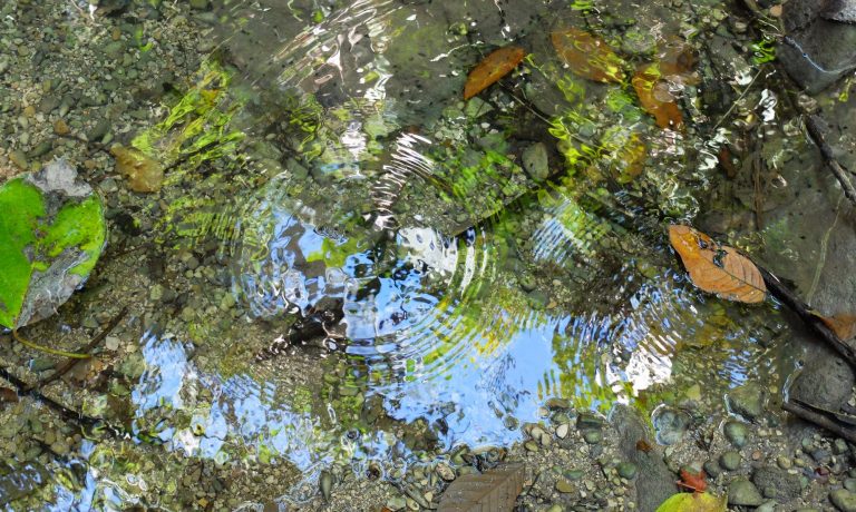 Nature based integrated water management solution to address climate ...